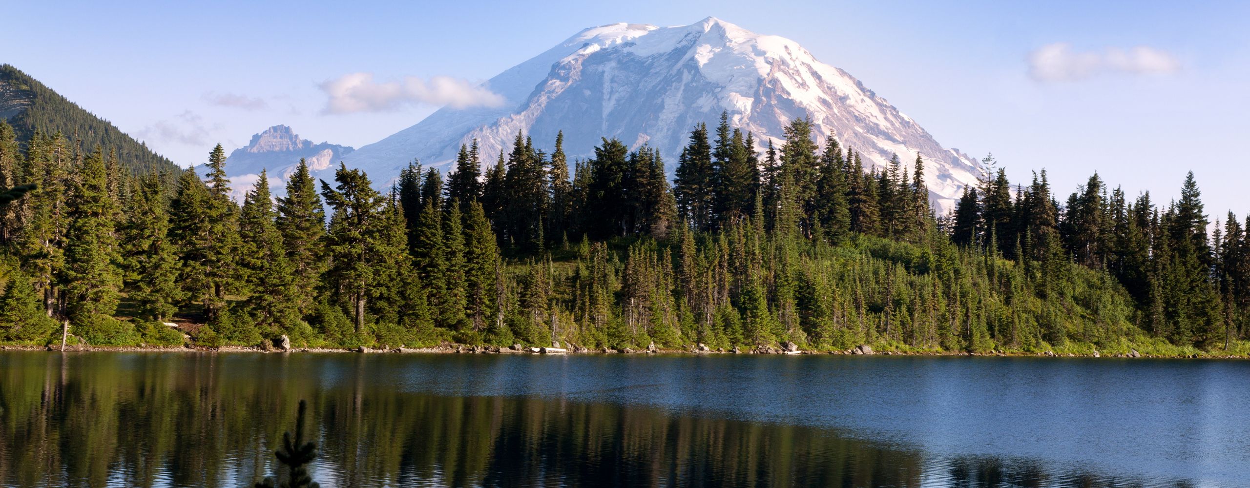 Public Opinion in Washington – A Look at the Last 15 Years - DHM Research